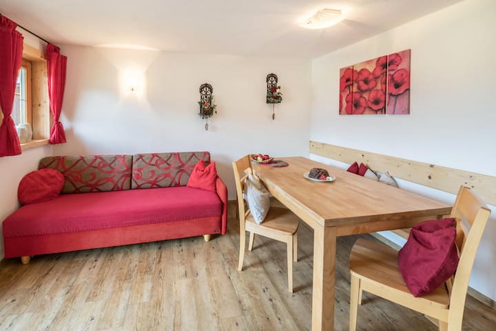 Gezellig Appartement Vorderreith Met Wi-fi, Balkon, Tuin - Kitzbühel
