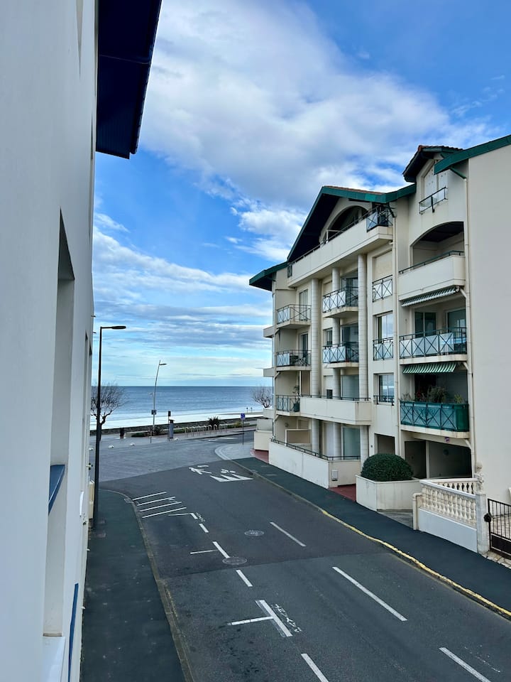 T3 Lumineux Vue Sur Océan Et Parking Hendaye - Hendaya