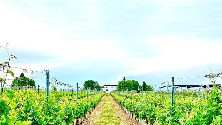 Tenuta Engi - Residenza Graziella - Veneto
