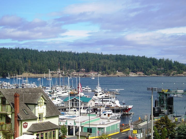 Harbor View Condo In Downtown! Churchill Plaza #1 - Friday Harbor, WA