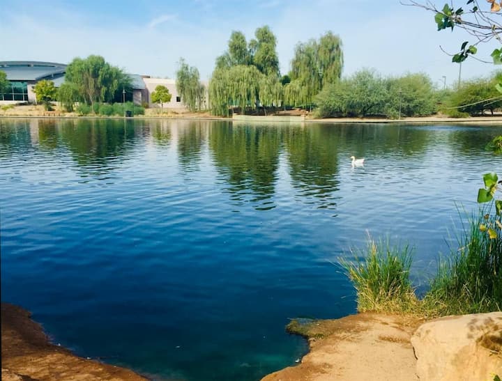 Gilbert Estate - Close To Amazing Golf Courses! - Queen Creek, AZ