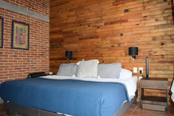 Historical Beautiful Downtown Apartment Ugalde - San Luis Potosí
