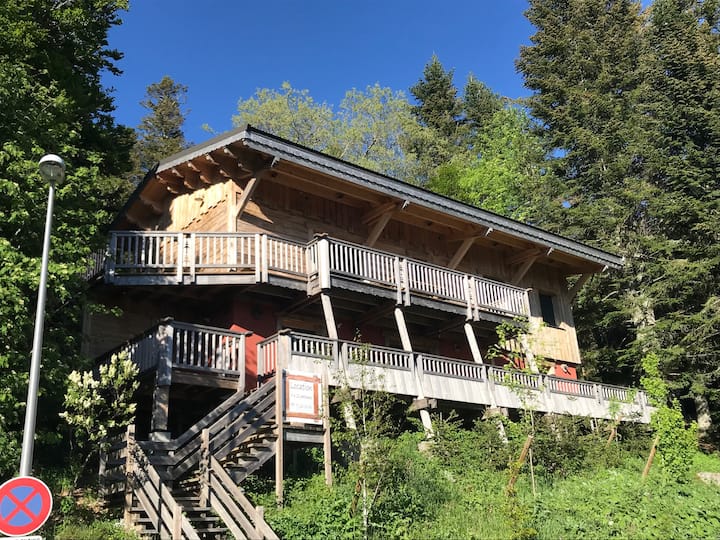 Magnifique 2 Chambres Terrasse Face Aux Montagnes - Cantal