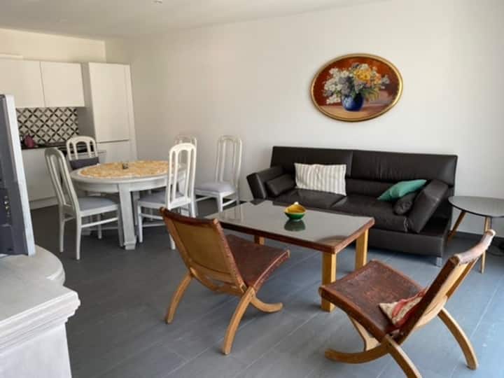 2,5 Pièces Près De La Gare Et Vieille Ville - Sion