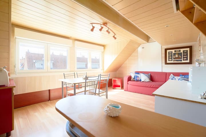 Chaleureux Apt + Parking, Proche Chu Et Facultés - Lille