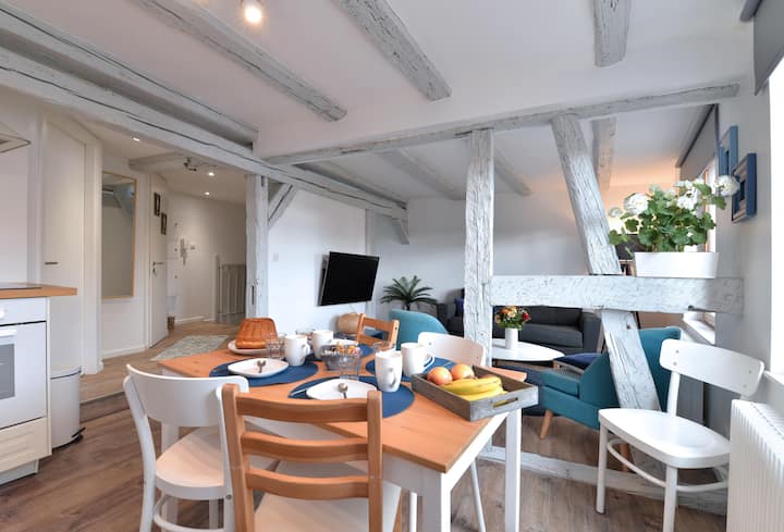 L'authentique De La Petite Venise 3* - フランス コルマール