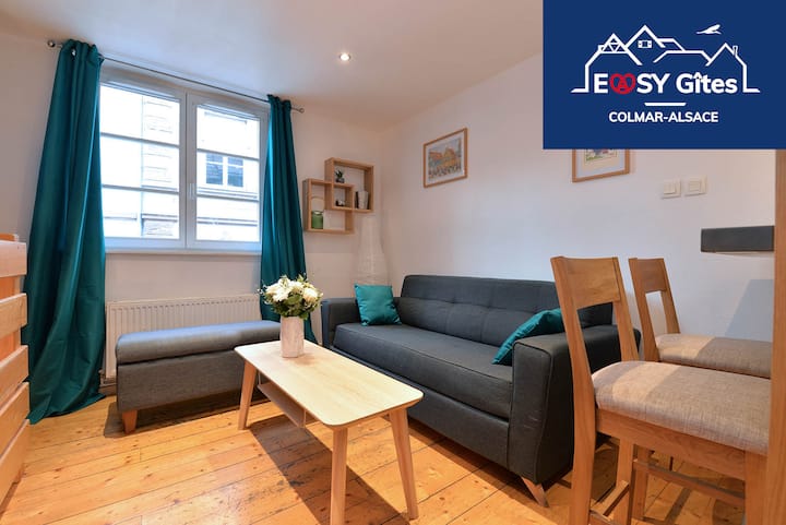 Le Cosy De La Petite Venise 3* - Colmar