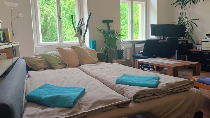 Park View- Vue Sur Le Parc - Prague