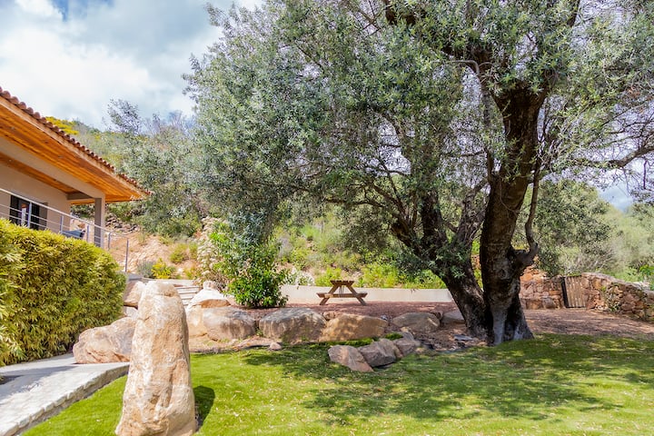 ÉVasion En Corse Appartement Au Calme à Gialla - Porto Vecchio