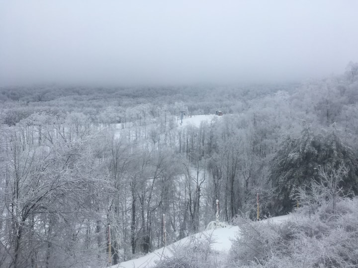 Winterplace Condo D304 - Winterplace Ski Resort, WV