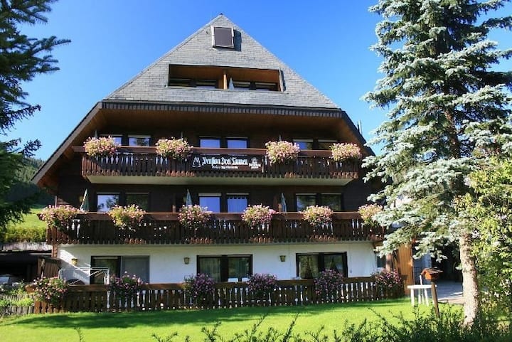 Drei Tannen Apt.09, Titisee, Near Badeparadies - Titisee-Neustadt