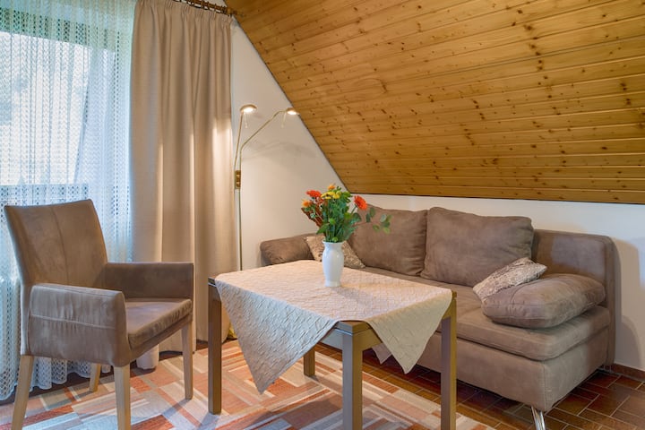 Drei Tannen Apt.12, Titisee Near Badeparadies - Titisee-Neustadt