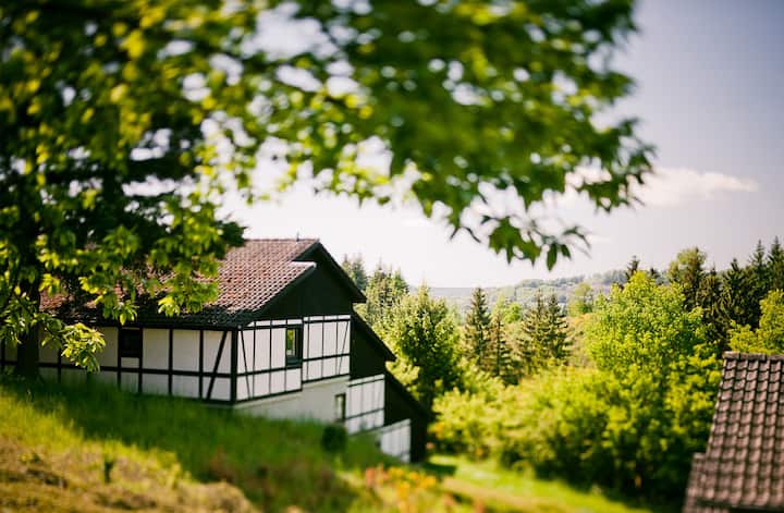 Ferienhaus "Ahorn" 8 (127710) - Daun