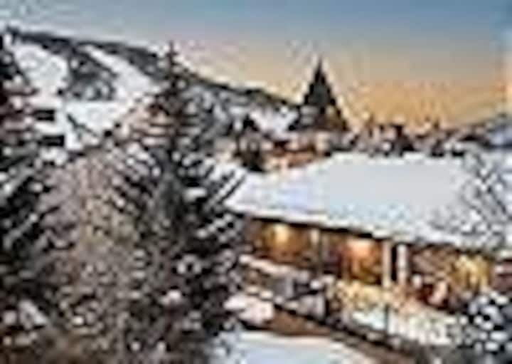 Rooftop Hot Tub, Remodeled, Dog Friendly Lh Premiu - Vail, CO