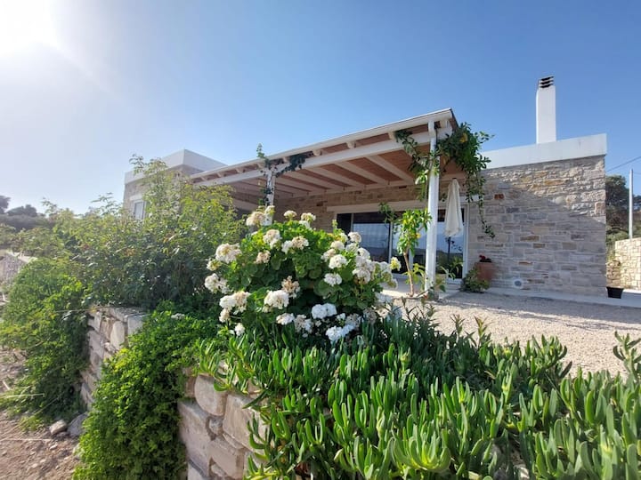 Nature Villa Yasemi Kamilari - Pitsidia