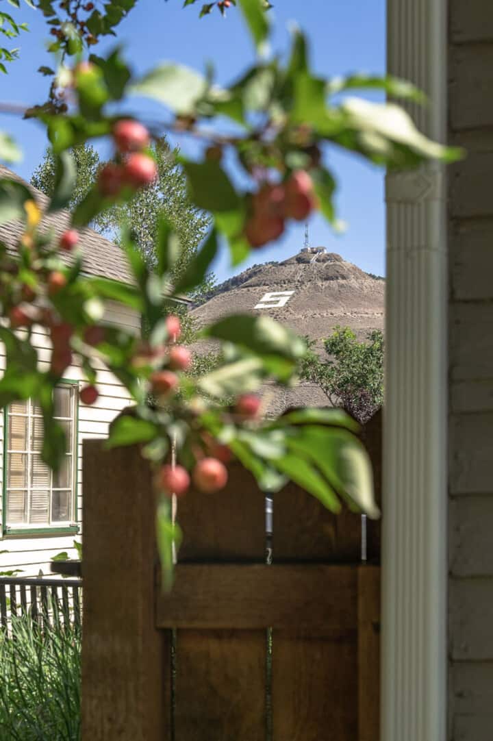 Salida Bungalow - Salida, CO