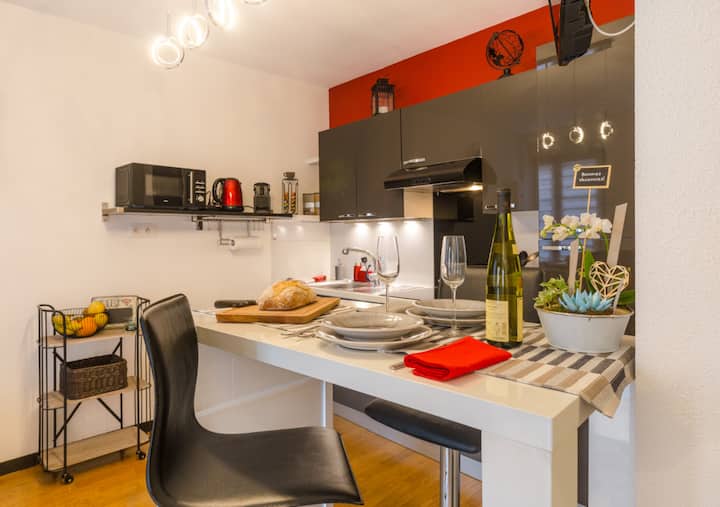 Grünewald Colmar - Studio 2 Pers - Parking - Colmar