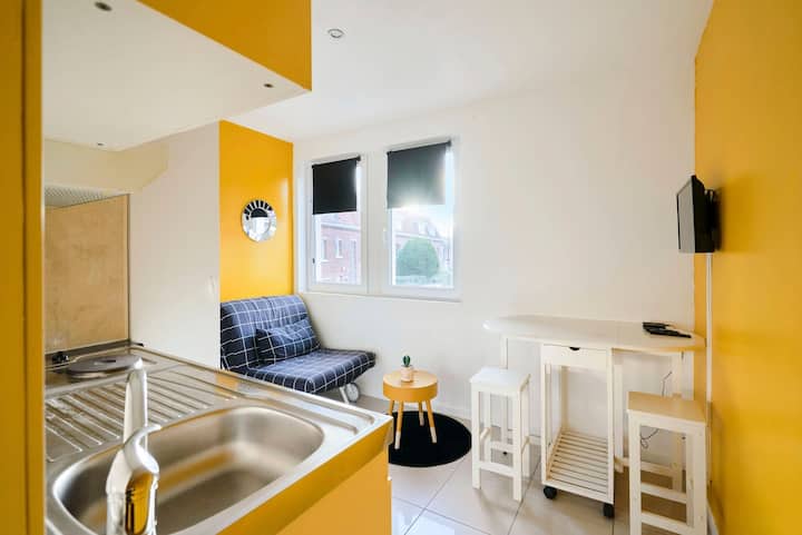 Appartement 1 Chambre, Proche Hôpitaux Et Facultés - Lille