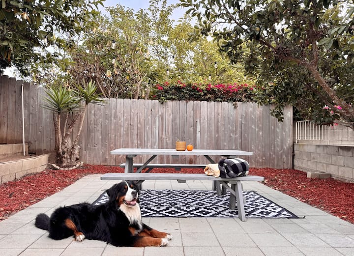 Play & Stay! Pet-friendly Sd Gem W/ Yard - San Diego, CA