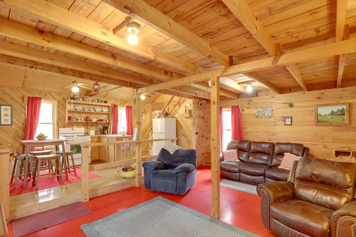 Blue Ridge Hideaway! Cabin W/ River Access & Views - Hot Springs, NC