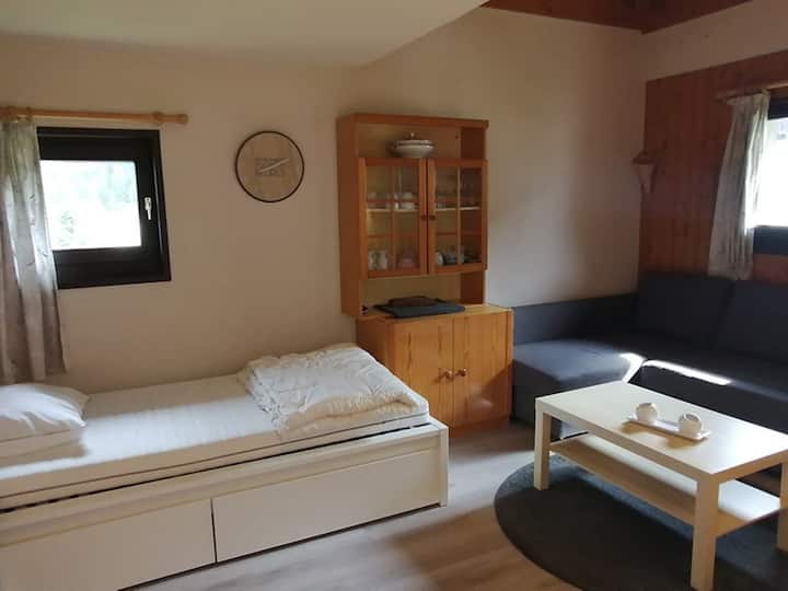Charmant Duplex 44m², 5 Pers, Vue Télécabine - Saint-Jean-d'Aulps
