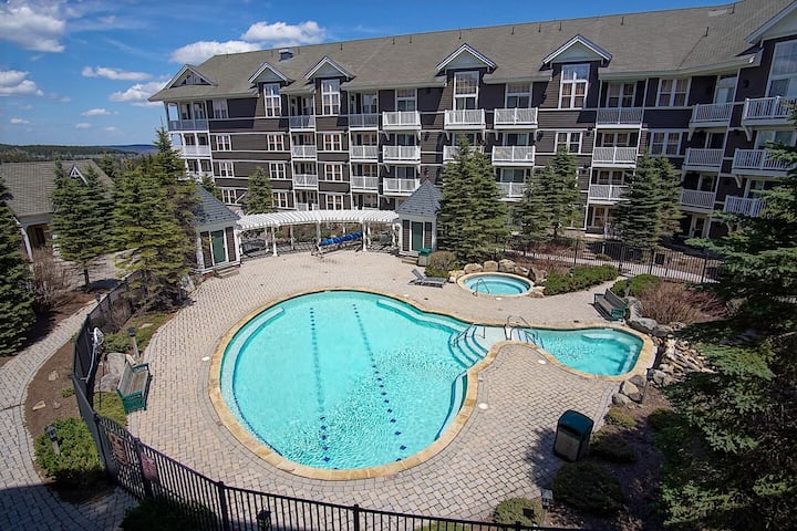 Allegheny Springs # 201 : 2 Br, 2 Bath: Slope Side - Seneca State Forest, Dunmore