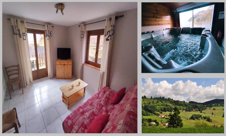 Gîte Catherine Spa Bain à Remous Sauna  Pêche - Remiremont