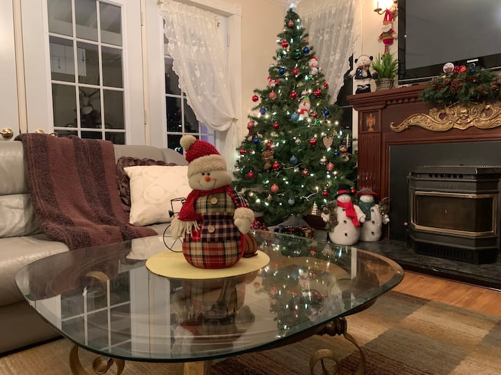 La Belle Amour Du Lac Avec Plage - Quebec