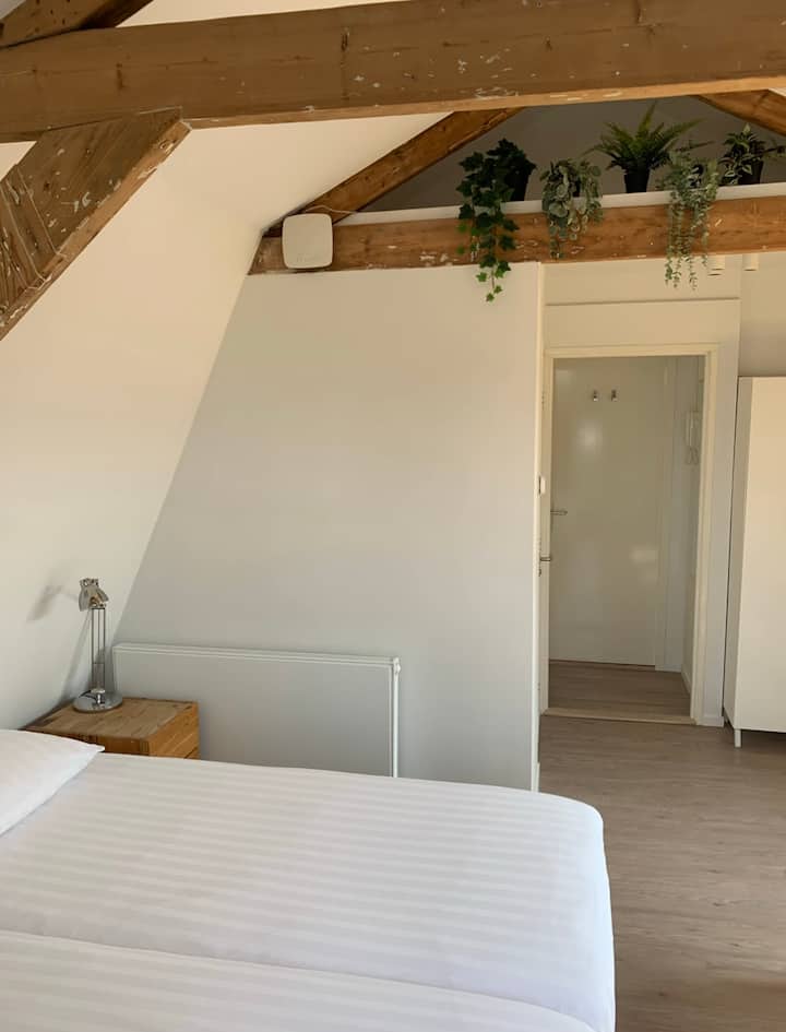 Quiet Classic Amsterdam Attic  – Modern & Private - Amsterdam