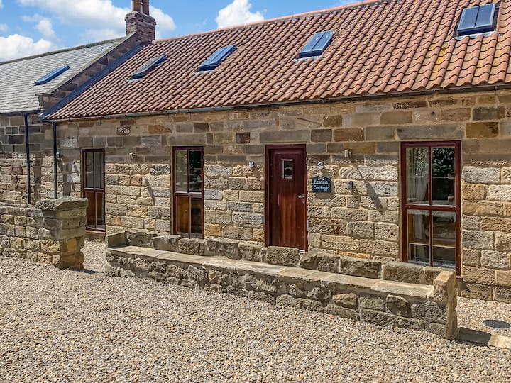 Seaton Cottage - Uk31990 - Runswick Bay
