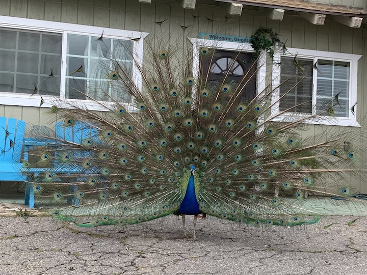 Romantic Farm Stay With Hottub And View - 폴브룩