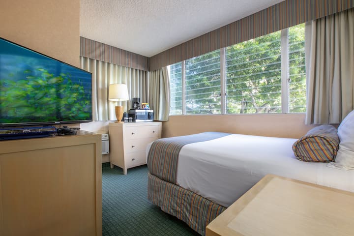 Aqua Aloha Surf Waikiki #215 Moderate Studio - Kailua, HI