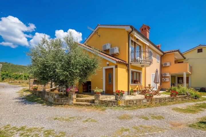 House In The Vineyards - Happy Rentals - Ankaran
