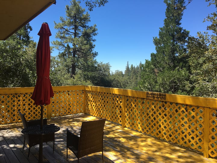 Idyllwild Bunkhouse - Queen Cabin Pets (Grandview) - Idyllwild-Pine Cove, CA