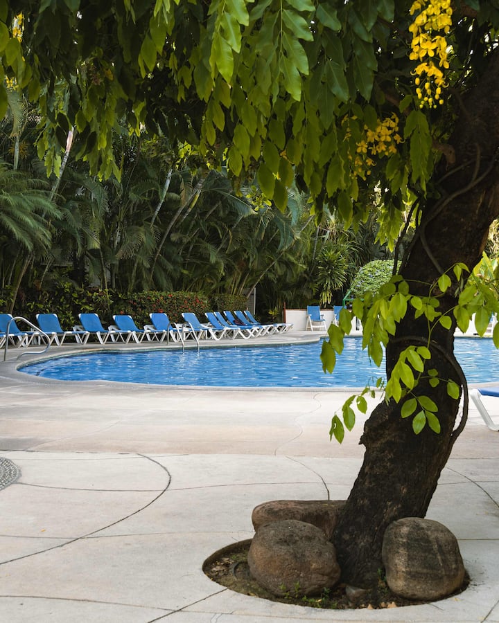 Rustic Ground Floor Haven Surrounded By Nature - Puerto Vallarta