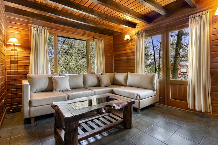 Bog Neculman - Villa La Angostura