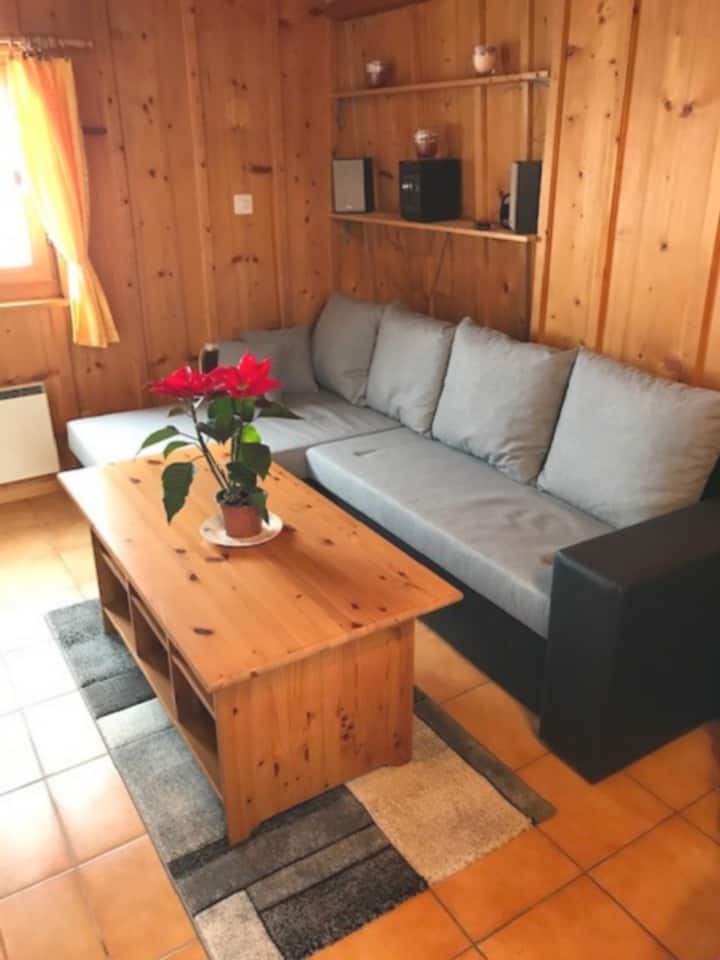 Chalet Familial De Montagne - Martigny