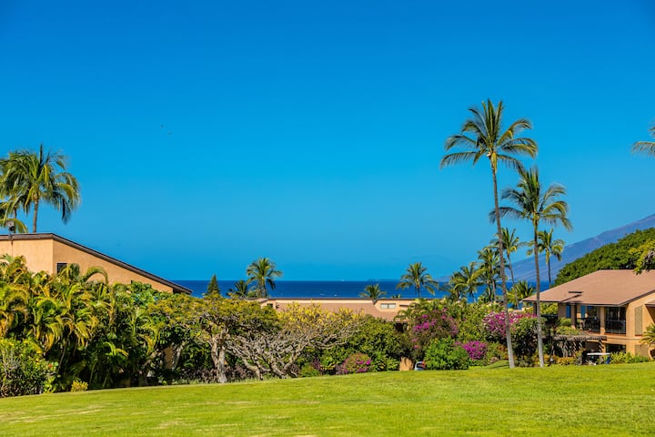Huge Ocean View, Spacious, Oceanfront Weka16c - Maui, HI