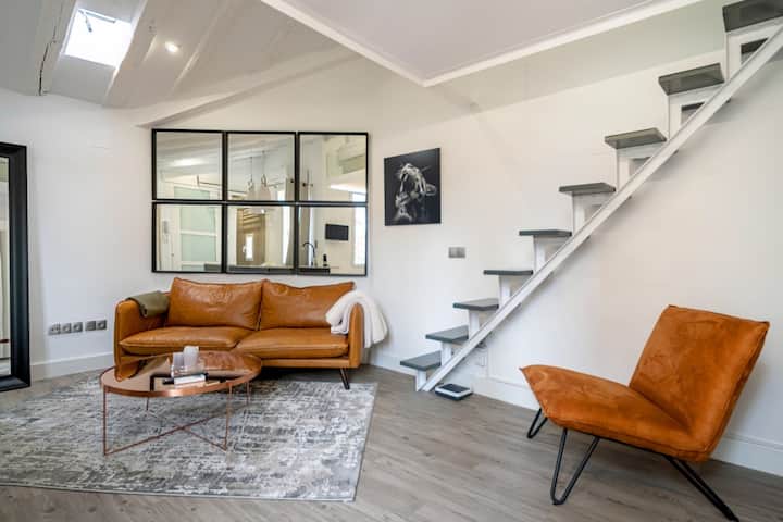 Modern & Bright Penthouse -1bedroom 1bath -Sol - Ginzo de Limia