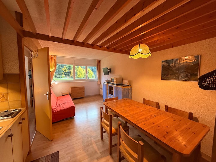 Appartement Villard-de-lans, 2 Pièces, 6 Pers. - Villard-de-Lans
