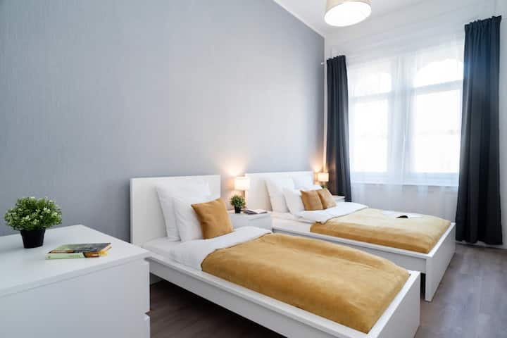 Large Apartment At Perfect Central Location - Budapest