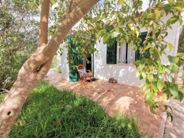 Tradicional Casa De La Playa, Cerca Del Pinewalk - Port de Pollença
