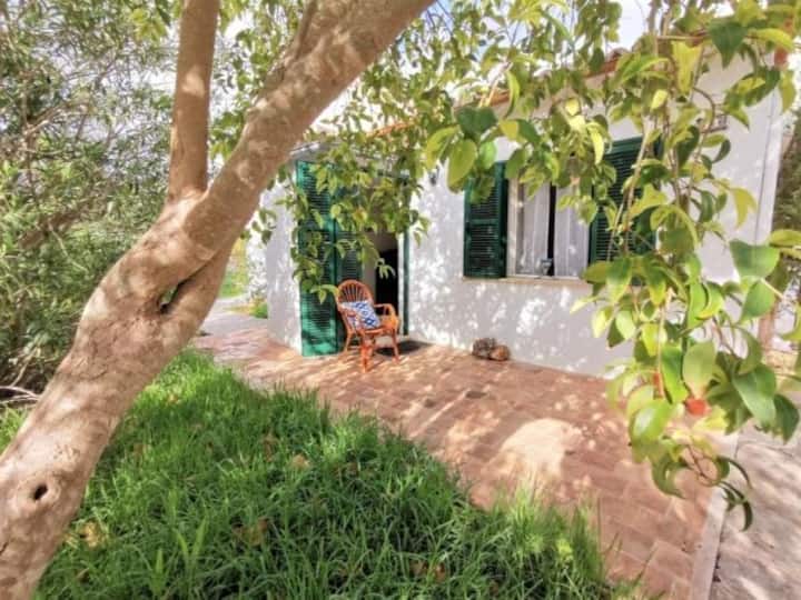 Tradicional Casa De La Playa, Cerca Del Pinewalk - Port de Pollença
