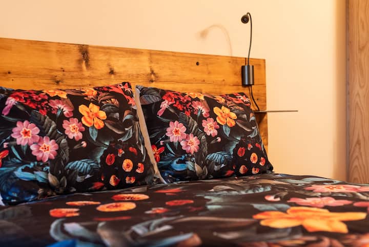 Queen + Sofa Bed Cabin In Leadville - Leadville, CO