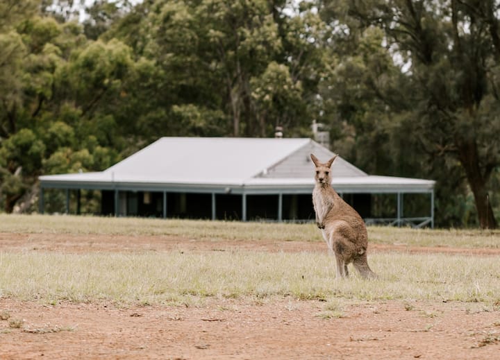 Palmers Lane Estate 6br - Pokolbin Hunter Valley - Pokolbin