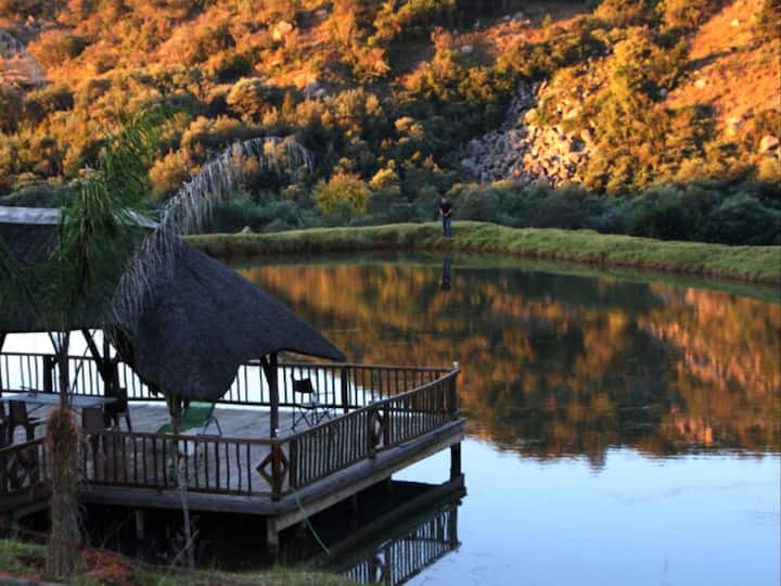 Emahlathini Guestfarm Elephant Family Unit - Piet Retief