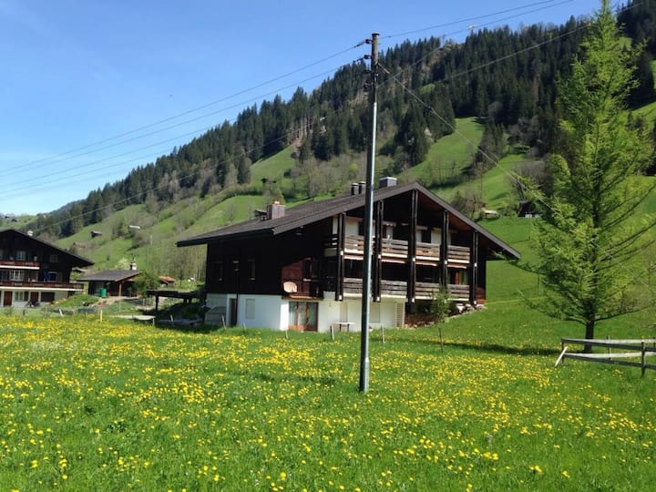 Rothenbach By Interhome - Lenk im Simmental