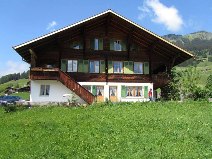 Chalet Pletschen - Lenk