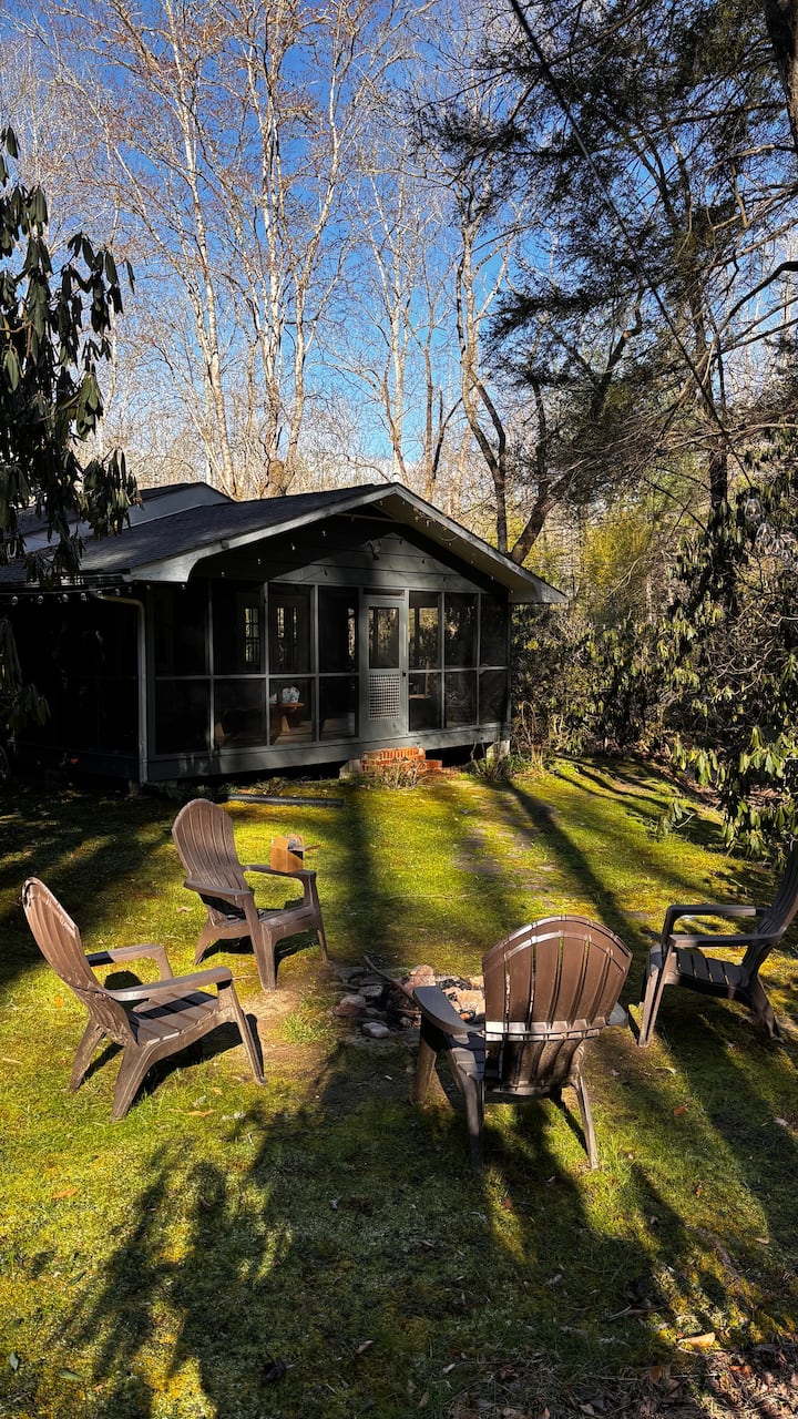 Creekfront Cabin Near Pisgah Trails & Brevard - Brevard, NC