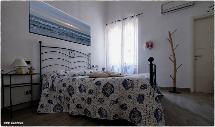 Affittacamere La Casa Sul Molo Viareggio - Viareggio